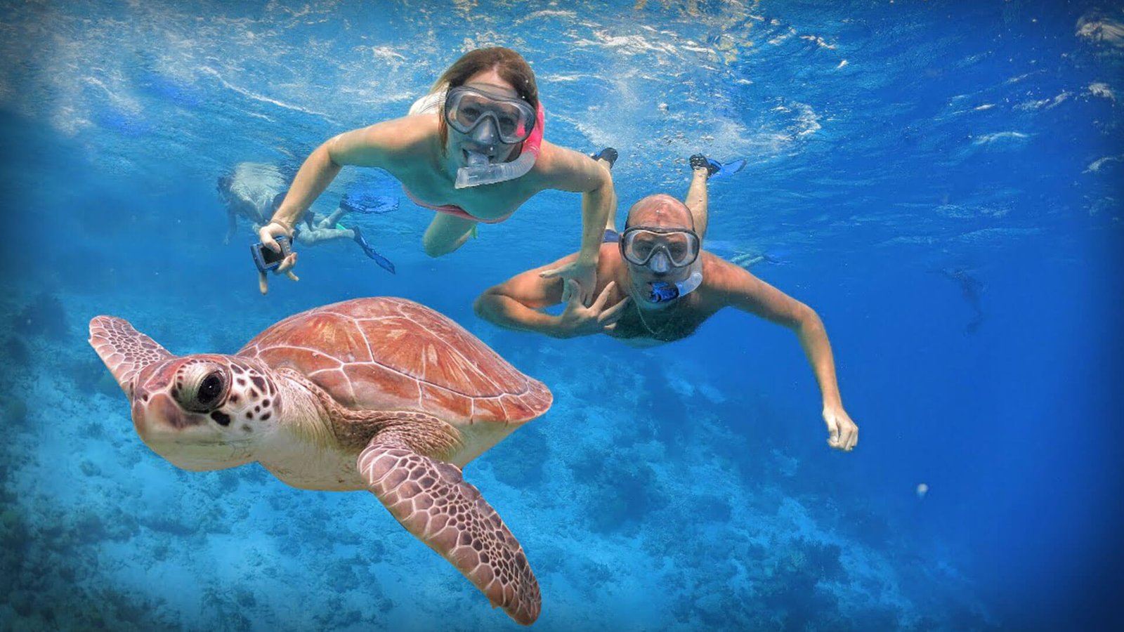 A Guide To Discovering Sri Lanka's Top Water Sports | Travel Guide | Sri Lanka Wonders